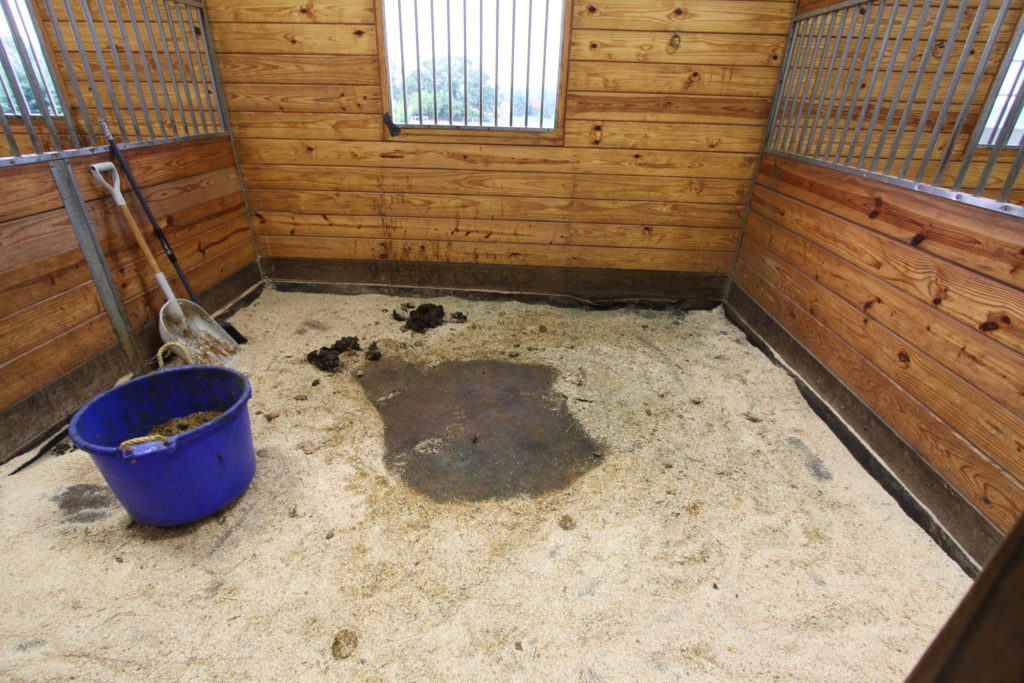 Time Saver Stall Cleaning Method For Neat Freaks | Insightful Equine