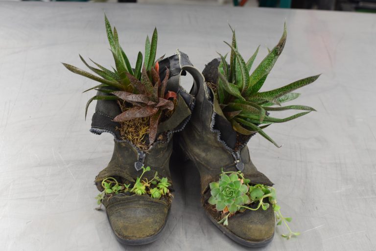 Well-loved Boots DIY Succulent Planter | Insightful Equine