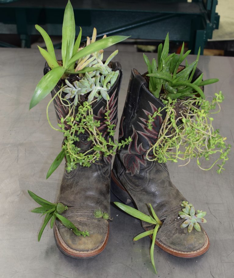 Well-loved Boots DIY Succulent Planter | Insightful Equine