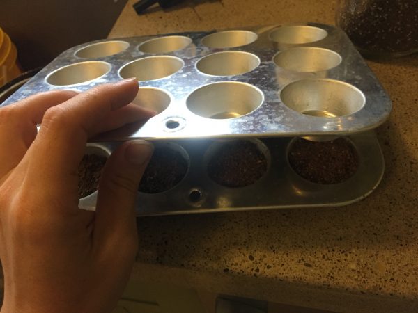 DIY Daily Supplement Treat Recipes | Insightful Equine
