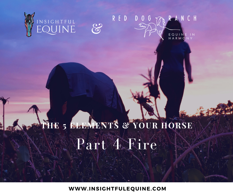 The Five Elements & Your Horse Part 4 - Fire | Insightful Equine